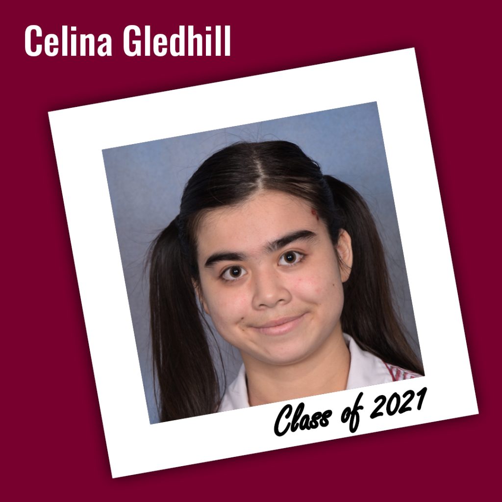 International Day of Women and Girls in Science - Kilbreda College Mentone